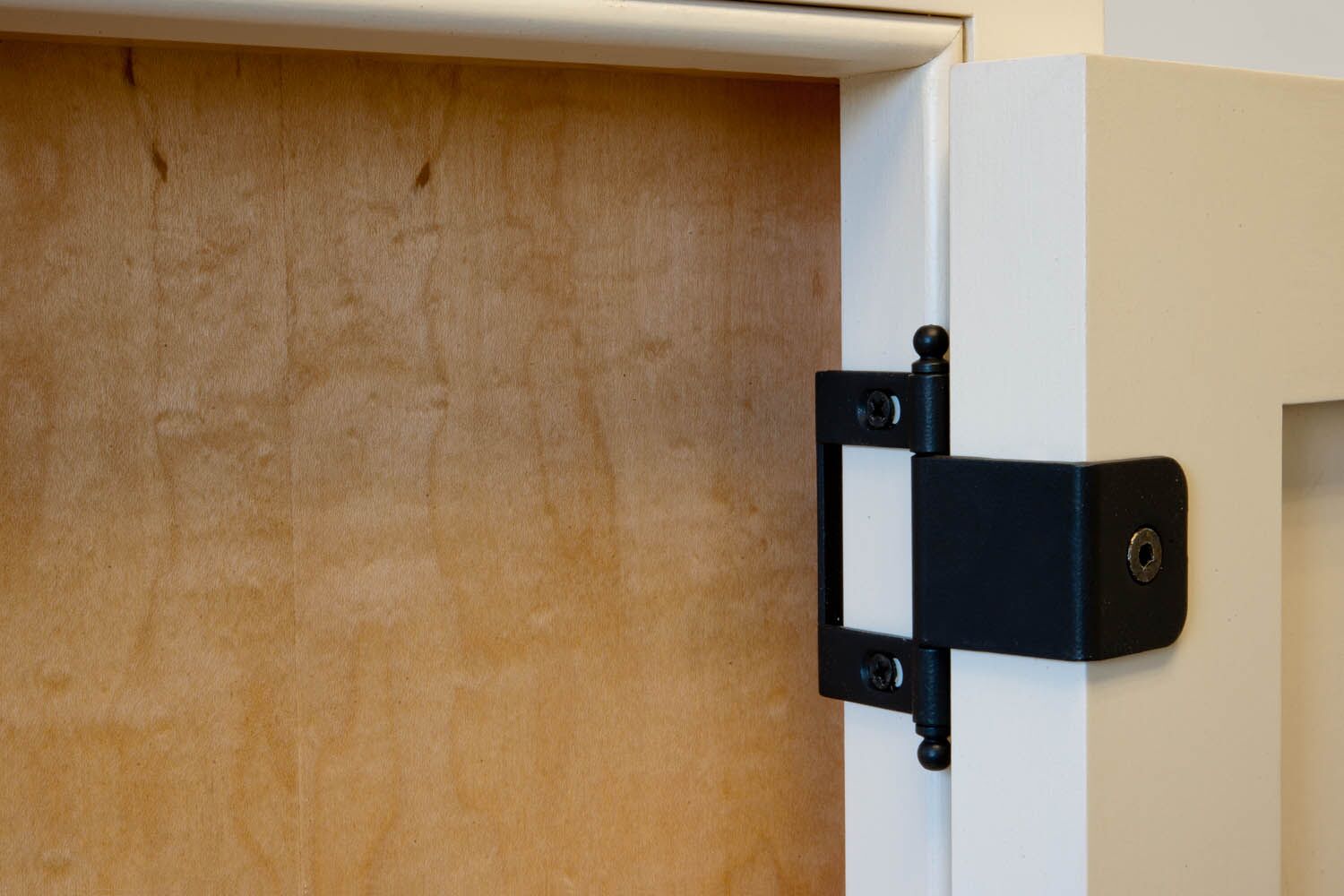 Hinges - Crown Point Cabinetry